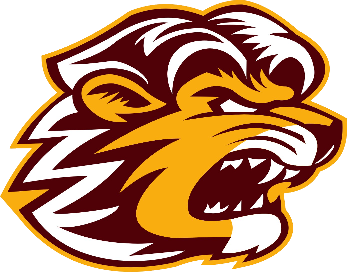 Lac St Louis Lions Hockey