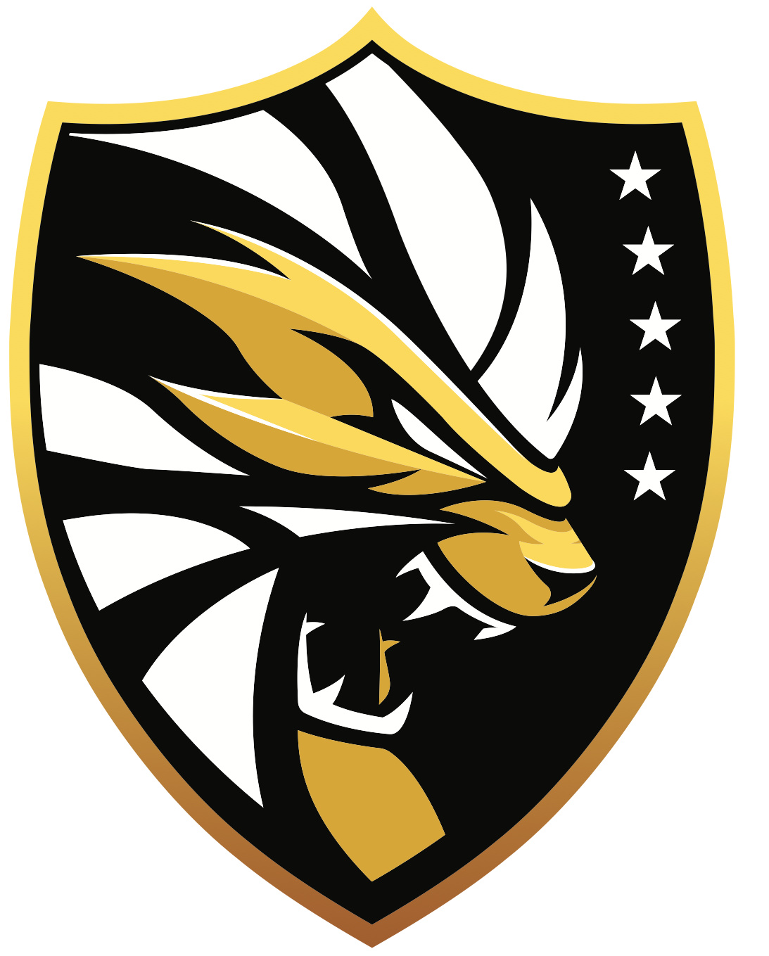Lac St Louis Lions Hockey